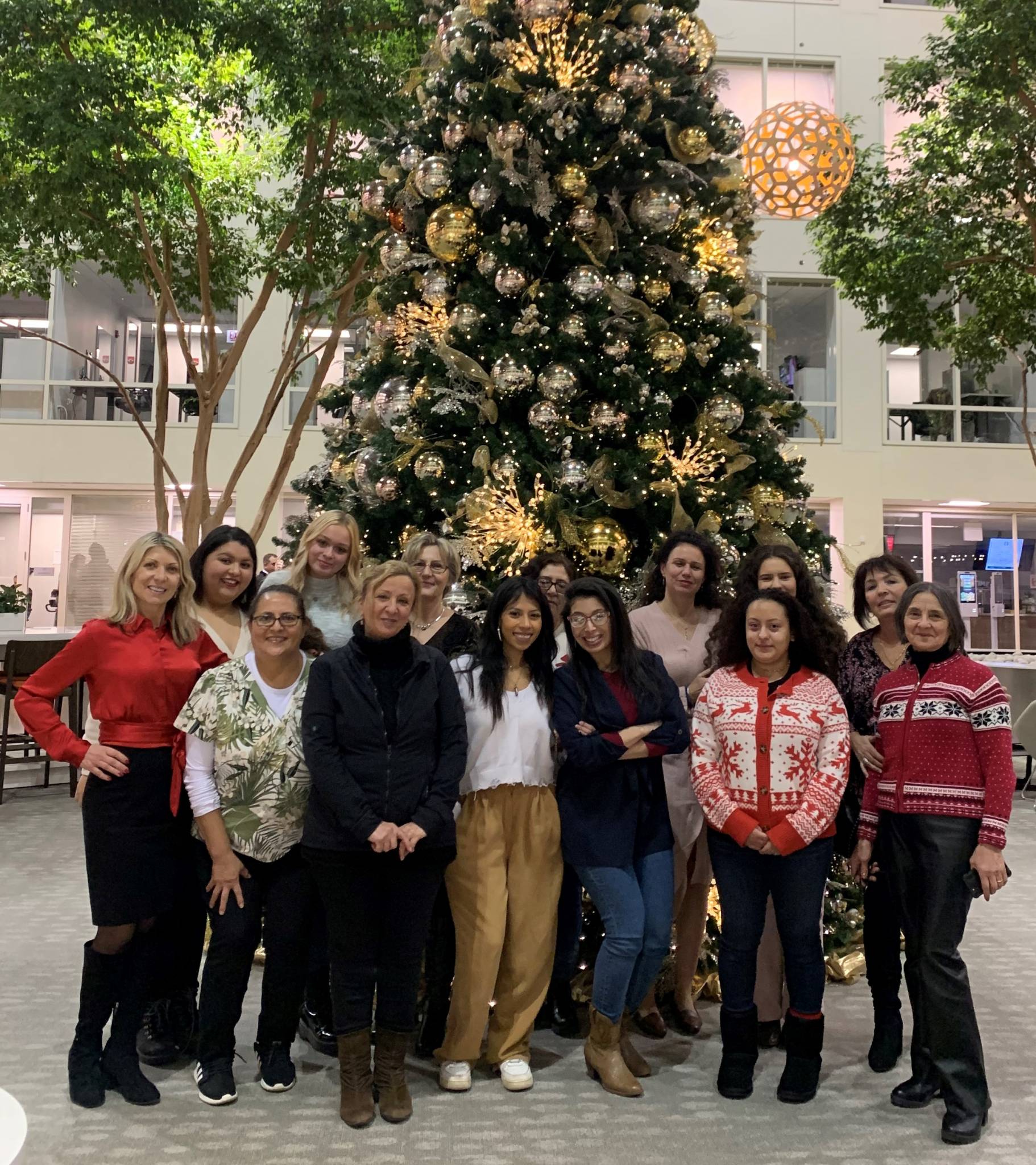 Happy Holidays from the Team | Assisting Hands Schaumburg